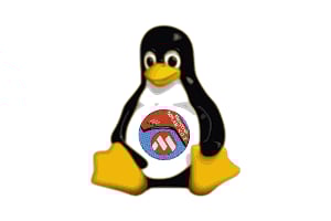 Programación de Microcontroladores PIC en C con Ubuntu utilizando el ...