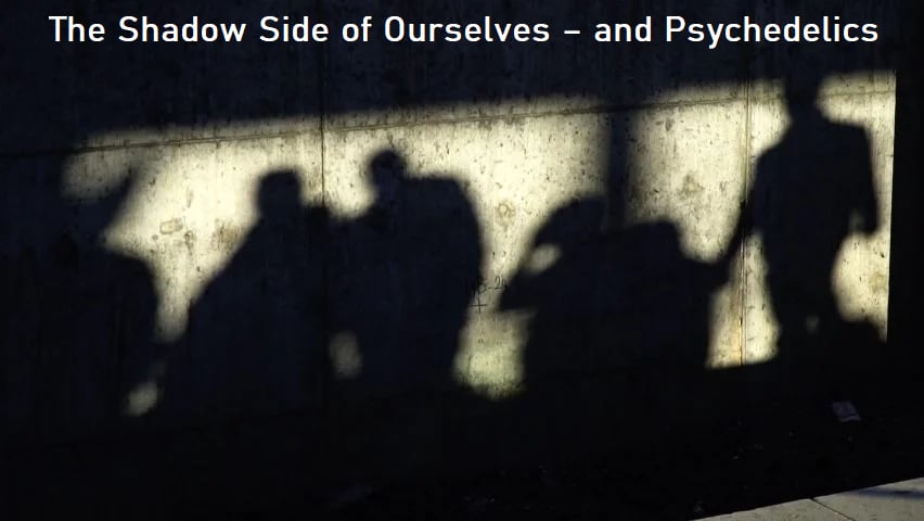 Harness the Power of Psychedelic Medicines to Heal Trauma | Face Shadow ...