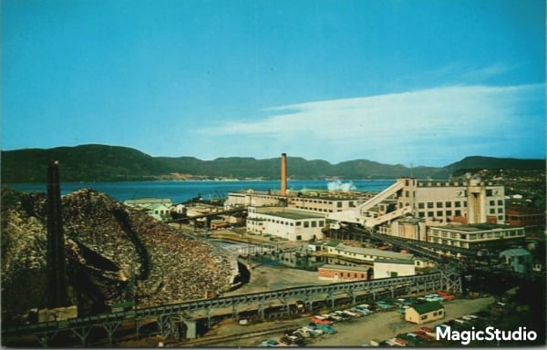 Bowater Pulp and Paper | Bowaters