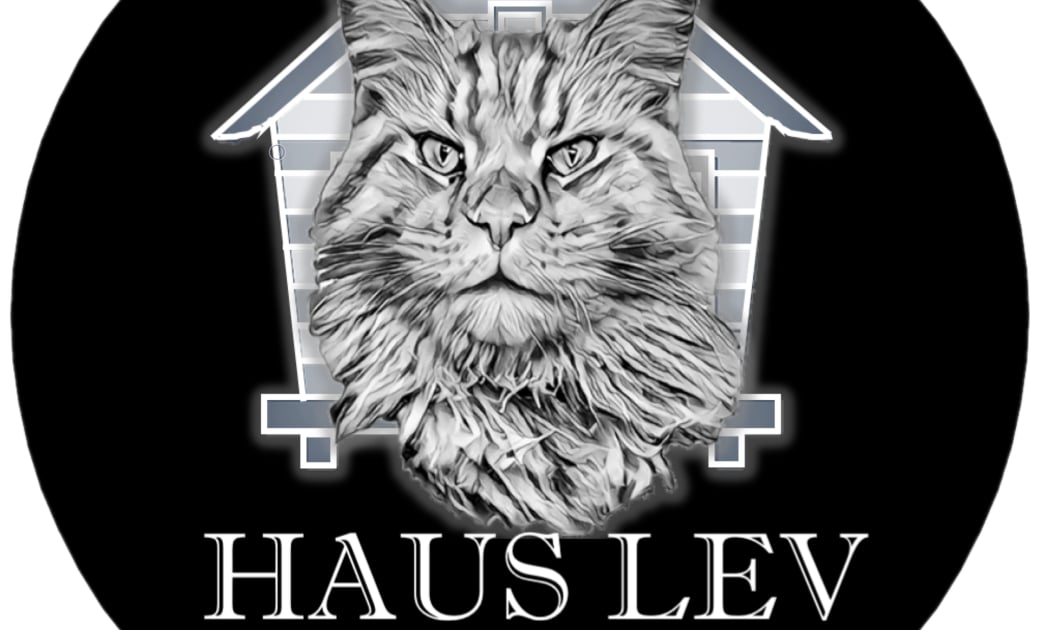 Descubre nuestros ejemplares Maine Coon Silver y Smoke en Haus Lev ...