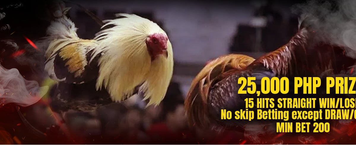 Number 1 Online Sabong platform in the Philippines Experience the ...