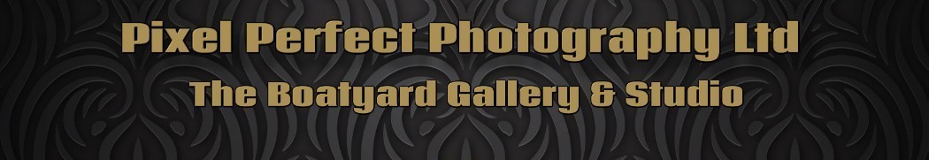 Pixel Perfect Photography - Capturing Moments in Suffolk | Pixel ...