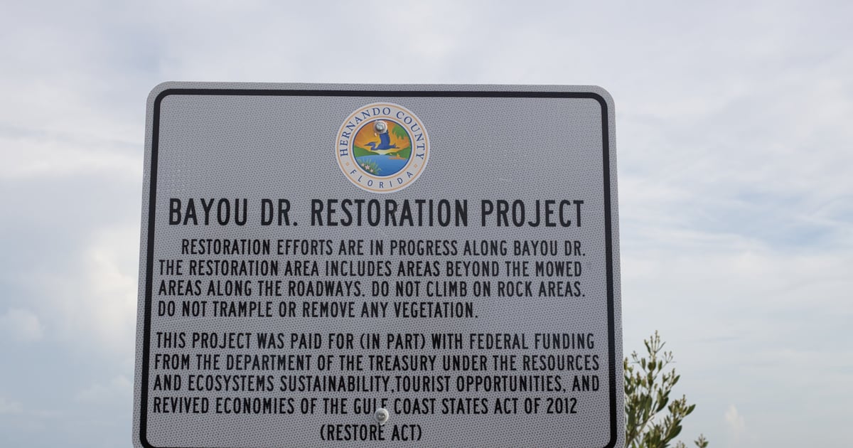 The Bayou Drive Restoration Project: Beyond the Roadways | Visit The ...