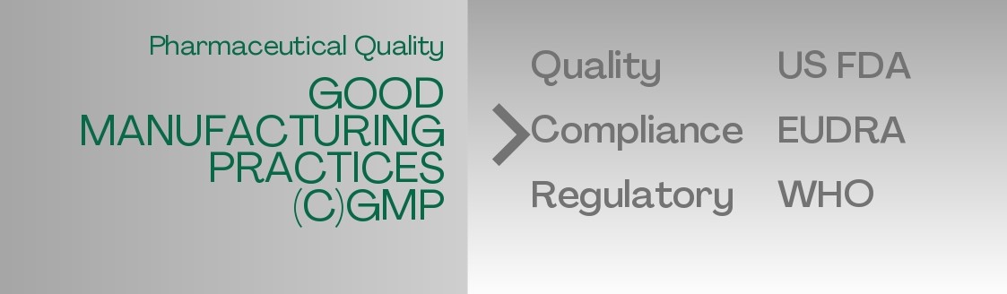 Unraveling the Good Manufacturing Practices (GMP) in Pharmaceutical ...