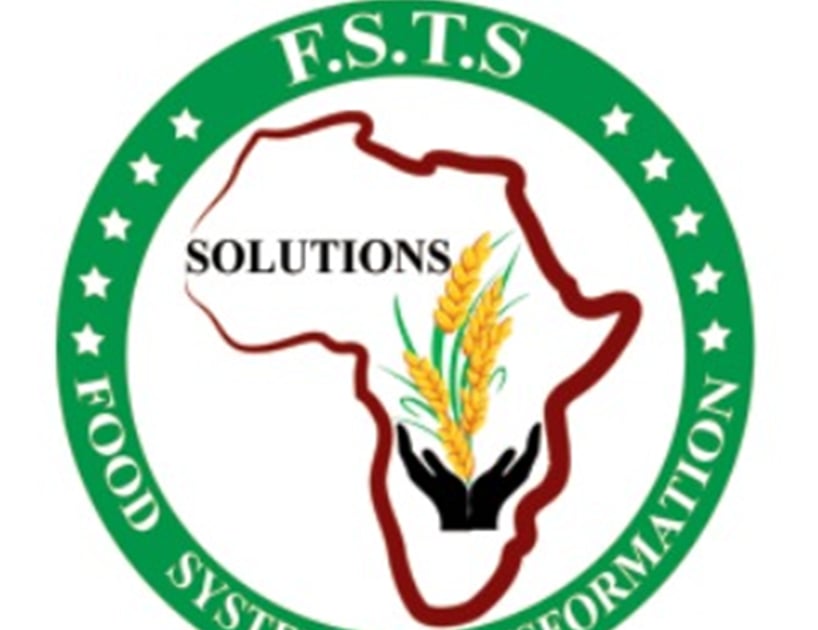 Home [www.fsystemsolutions.com]