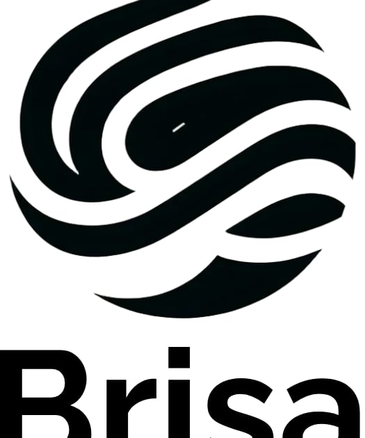 Contact Brisa Digital Marketing for Expert Solutions | Brisa