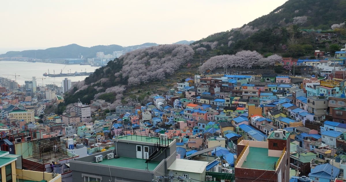 A Weekend in Busan: A Quick Guide to South Korea's Second City | Marks ...