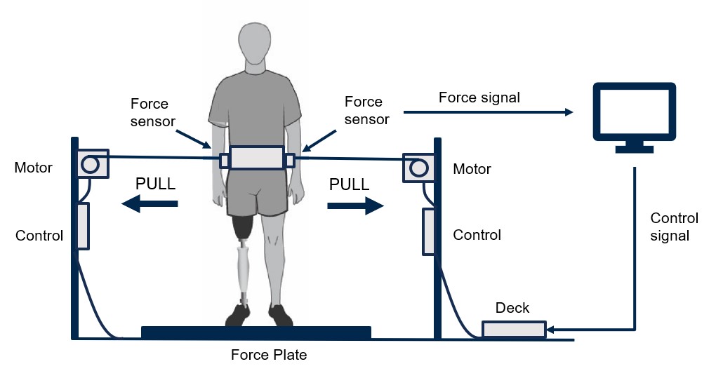 Assessing the role of socket trim line on reactive balance in people ...
