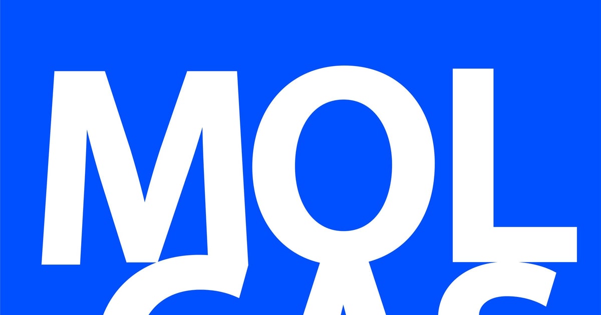 Planillas Descargables ¡Optimiza la Gestión de tu Negocio! | MOLCAS