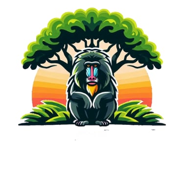 Mandrill Agency - la communication vidéo pour recruter et rayonner ...