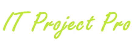 Skill Sets for Project Program and Portfolio Management | IT Project ...