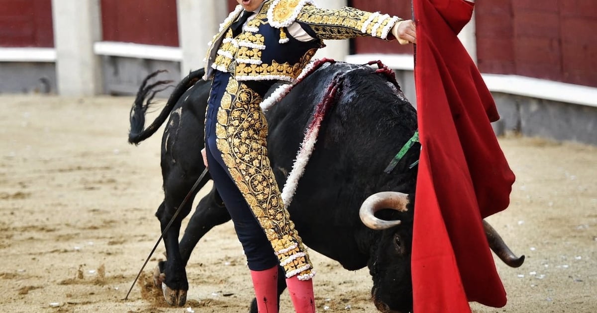 Analysis of the different techniques and styles of bullfighting ...