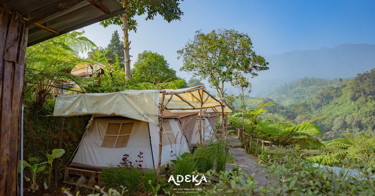 Pricing | adeka campsite