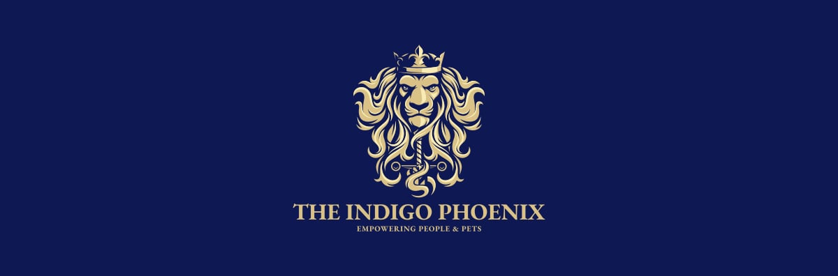 Innovative Community Outreach Programs | Indigo Phoenix Foundation ...