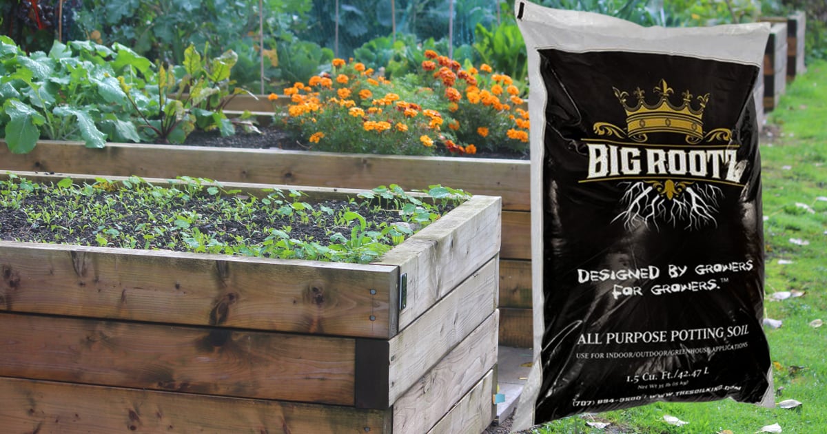 Big Rootz® - The Ultimate All-Purpose Potting Soil | Big Rootz Living Soil