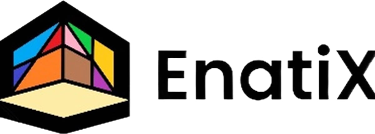 EnatiX - Top 1% consultants, assistants, teams for your work