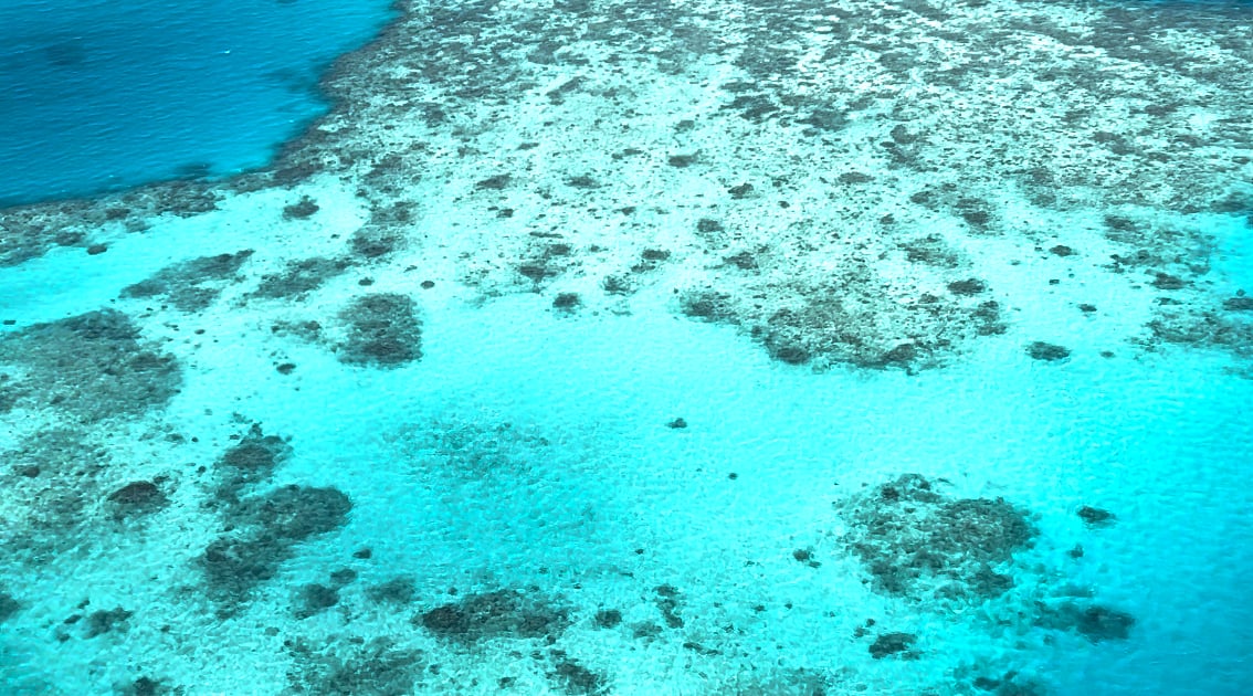 Exploring Australia's Natural Beauty: A Journey into Environmental ...