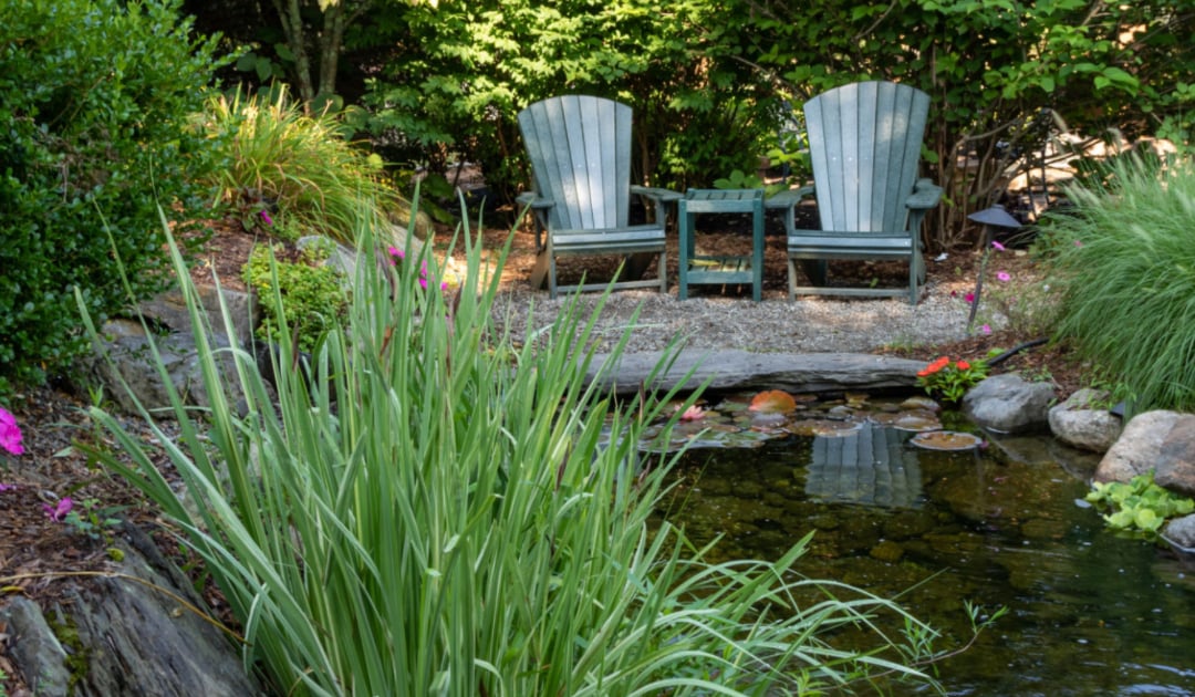 The Pros and Cons of Different Ecosystem Pond Designs | Aquagrace Pond ...