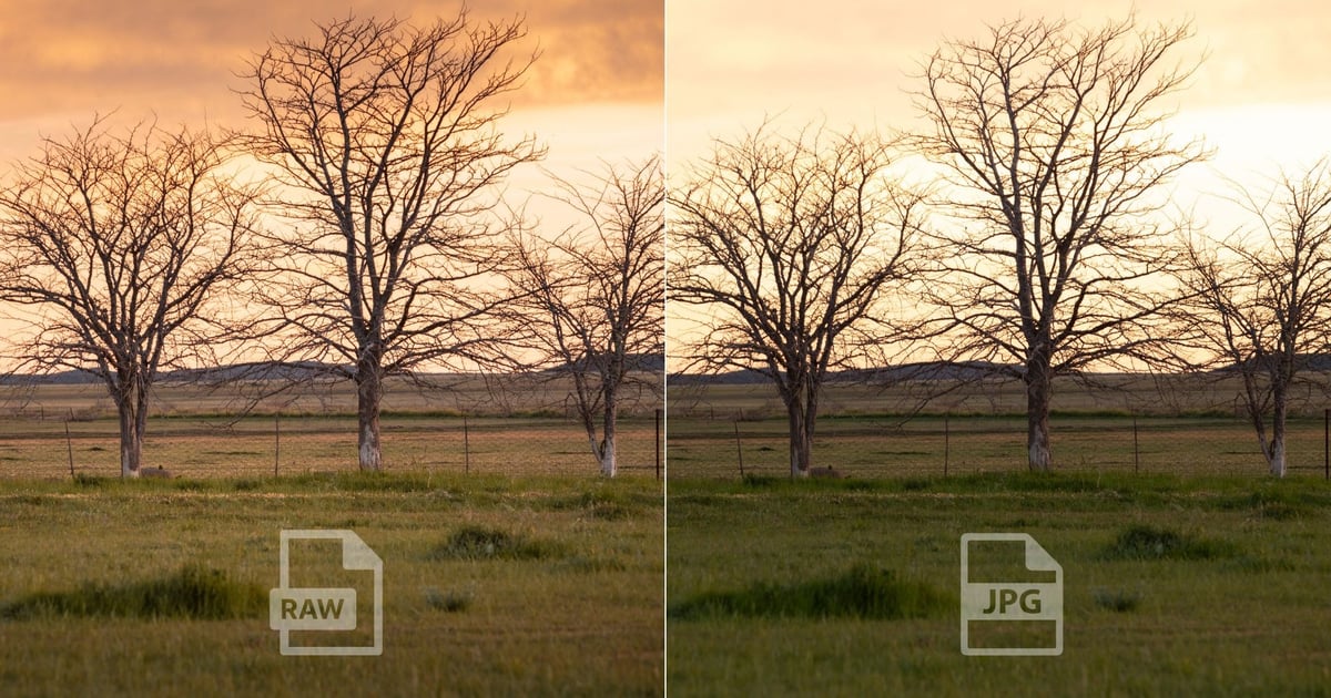 RAW vs. JPG: Why Shooting in RAW Format is a Game-Changer | Martin ...