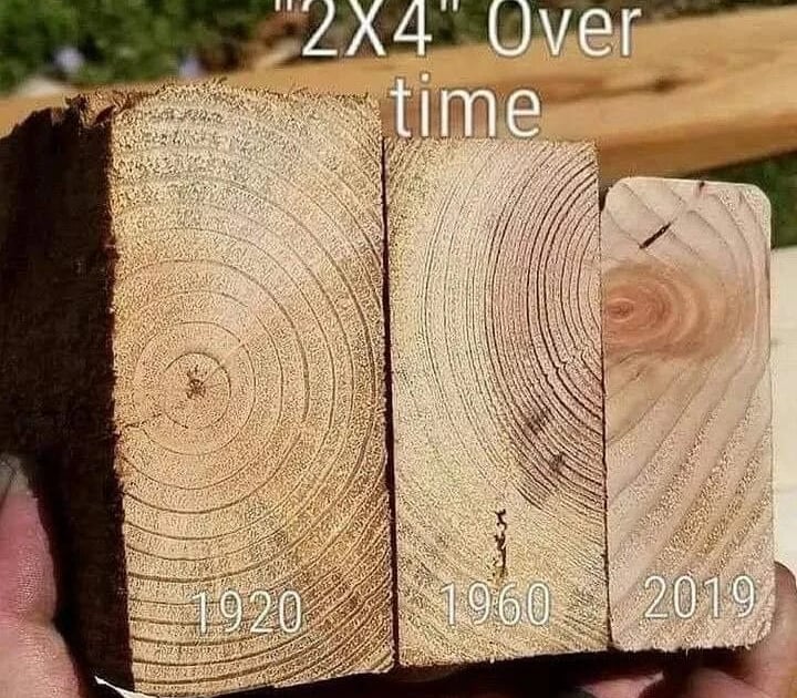 How the Quality and Size of 2x4 Lumber Has Changed Over Time | ProHands ...