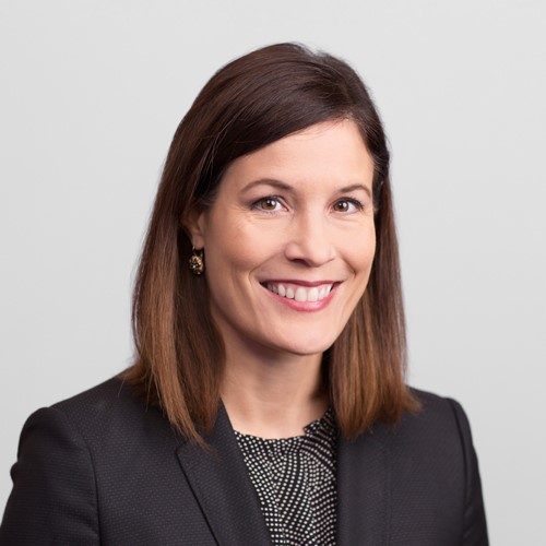 About Mount Insights | Mount Insights, LLC