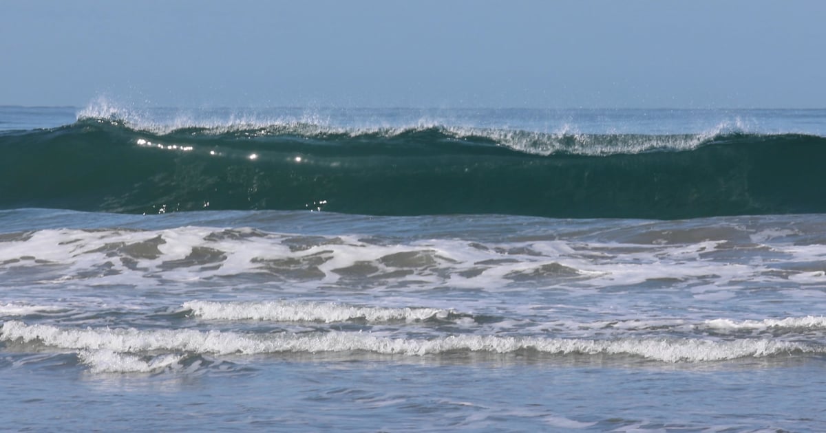 Oceans are Instrumental: Guitar Melodies and Ocean Sounds | Oceans Are ...