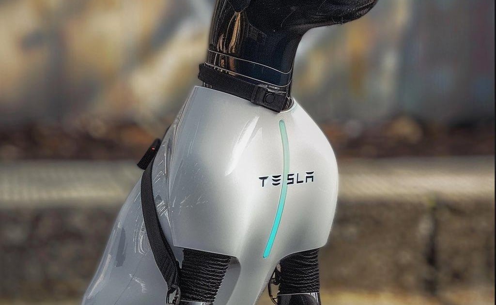 Max Optimus Dog: The Future of Robotic Companions | Max Optimus Dog CTO