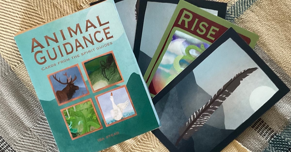 Animal Guidance Cards | Animal Guidance Cards