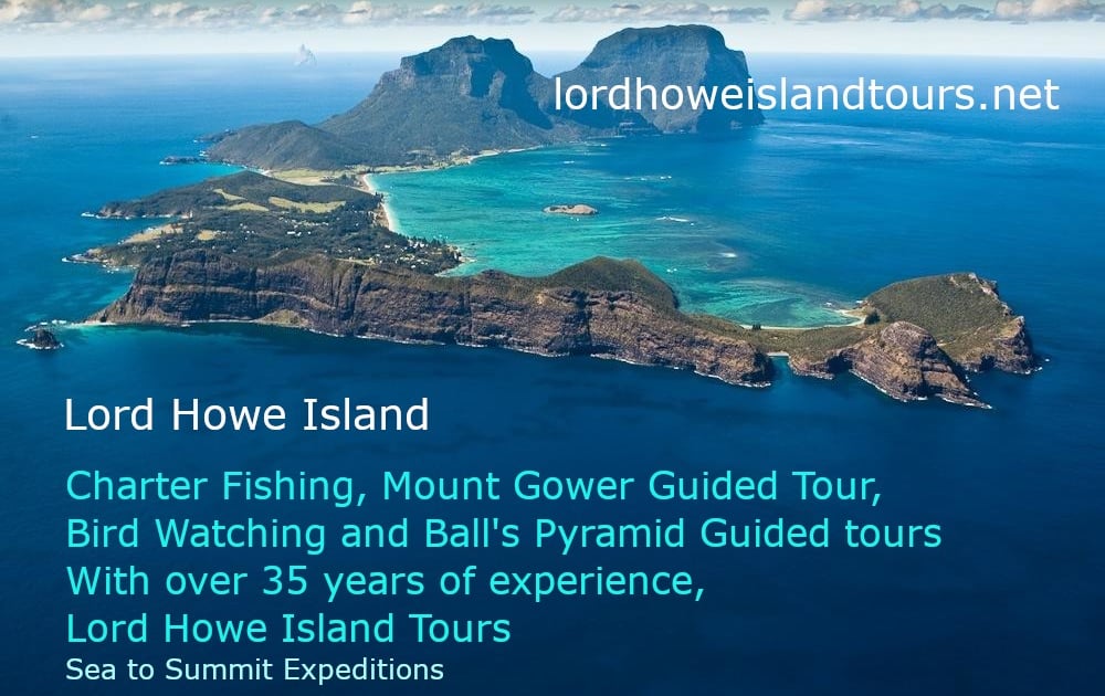 Balls Pyramid & Around Island Boat Tours | Lord Howe Island Tours - Sea ...