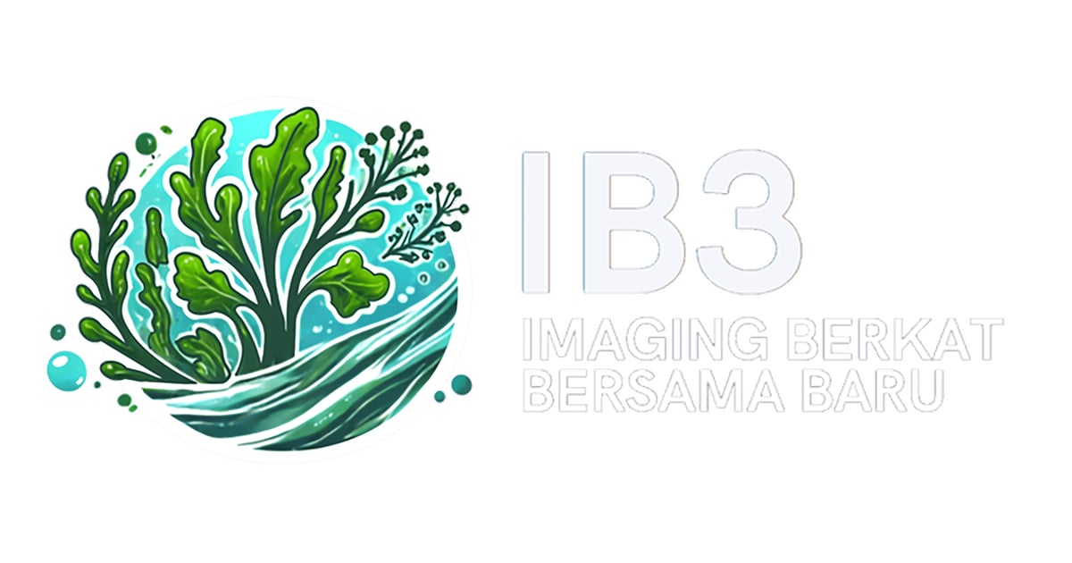 Sustainable Seafood Practices at IB3 Export Company | ib3