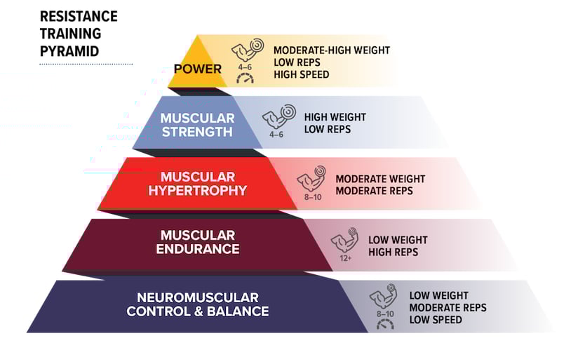 Explained: Maximizing Muscle Hypertrophy | Water Fitness & Adaptive ...