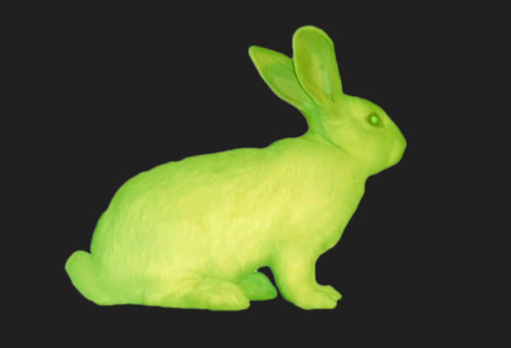 The GFP Bunny | The Art Gene