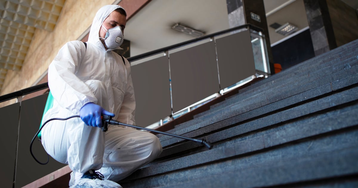 Mold Remediation Chandler | The Mold Solutions | Mold Remediation ...