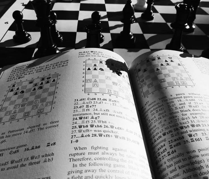 Todas as Regras do Xadrez Explicadas de Forma Simples | ChessX