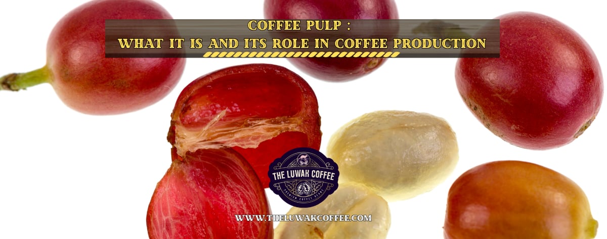 Coffee Pulp : What It Is and Its Role in Coffee Production | THE KOPI ...