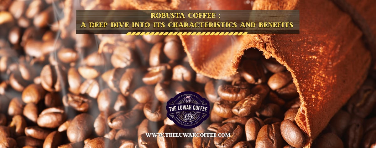 Robusta Coffee : A Deep Dive into Its Characteristics and Benefits ...