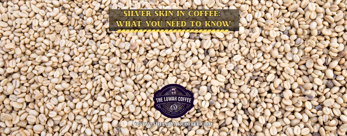 Silver Skin in Coffee: What You Need to Know | THE KOPI LUWAK (LUWAK ...
