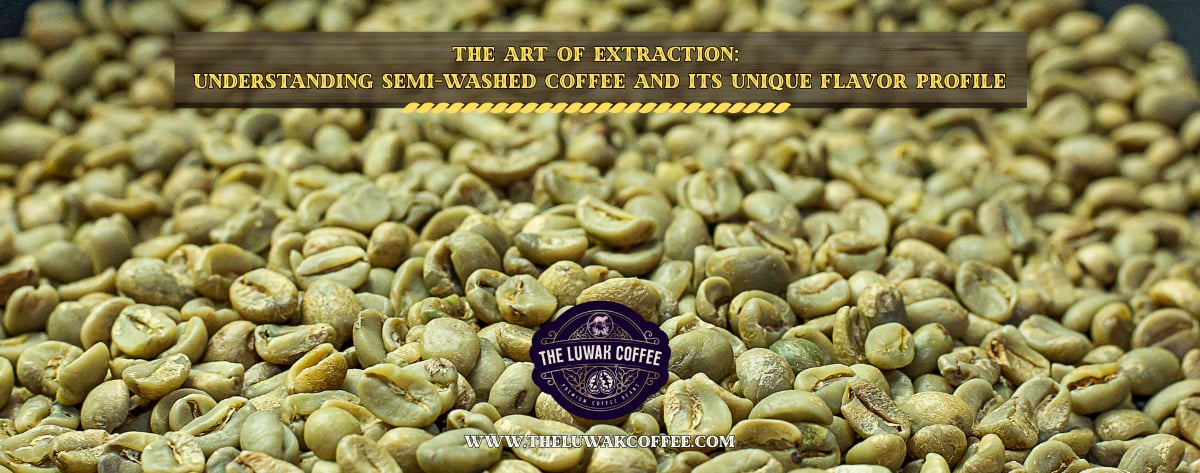 The Art of Extraction: Understanding Semi-Washed Coffee and Its Unique ...