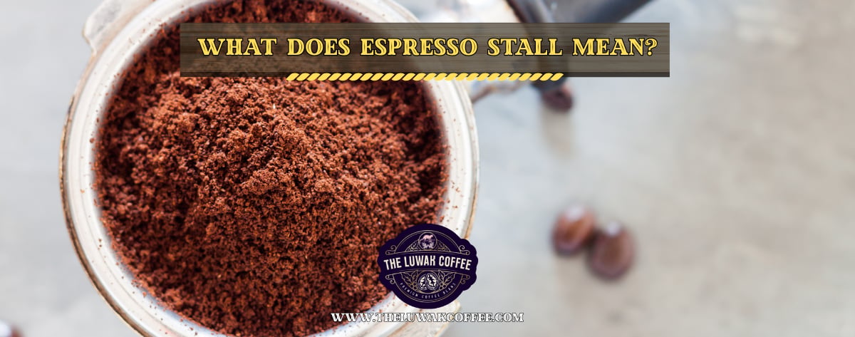 What Does Espresso Stall Mean? | THE KOPI LUWAK (LUWAK COFFEE)