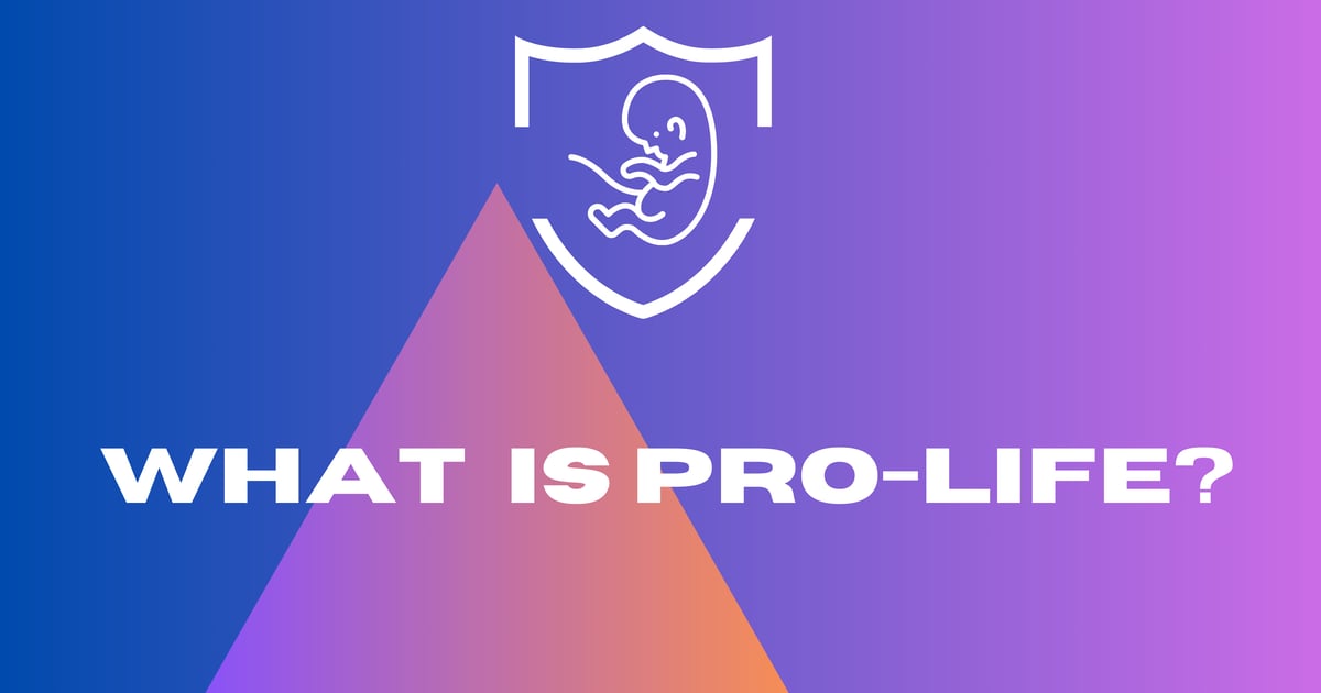 What is Pro-life? | Vote Life