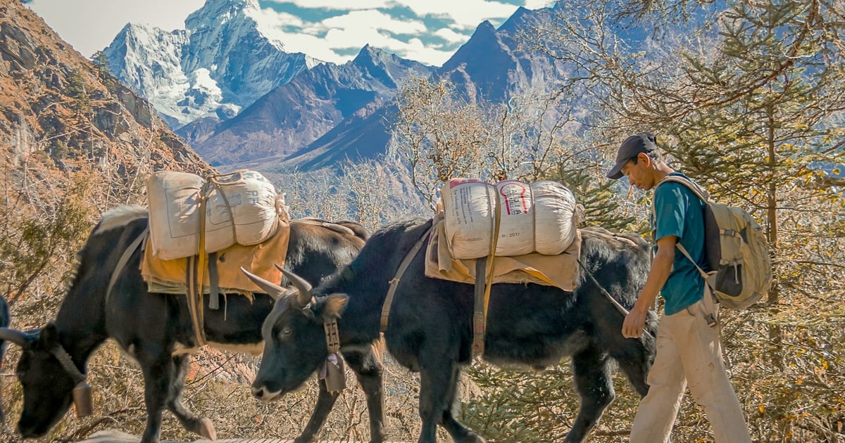 Nepal Trekking Guide: Permits, Packing List & Best Trails for an Epic ...