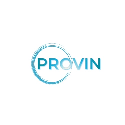 PROVIN - Top Influencer Malaysia (KOL) | PROVIN| Malaysia Influencer ...
