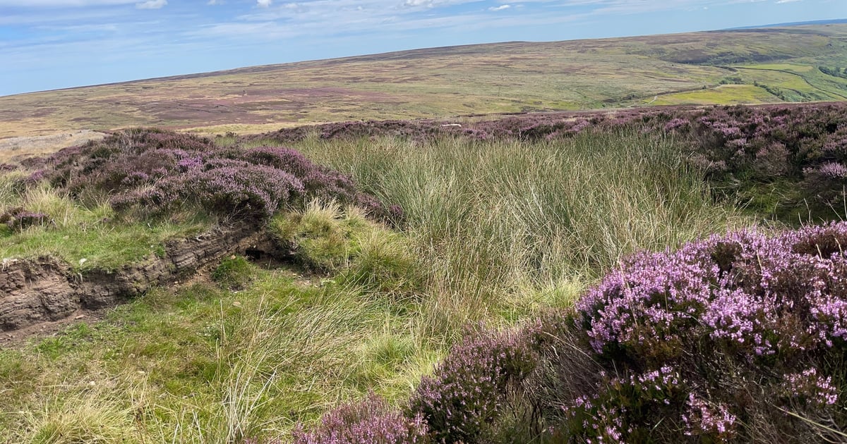10 Folklore Legends of the North Yorkshire Moors | North East Explorer