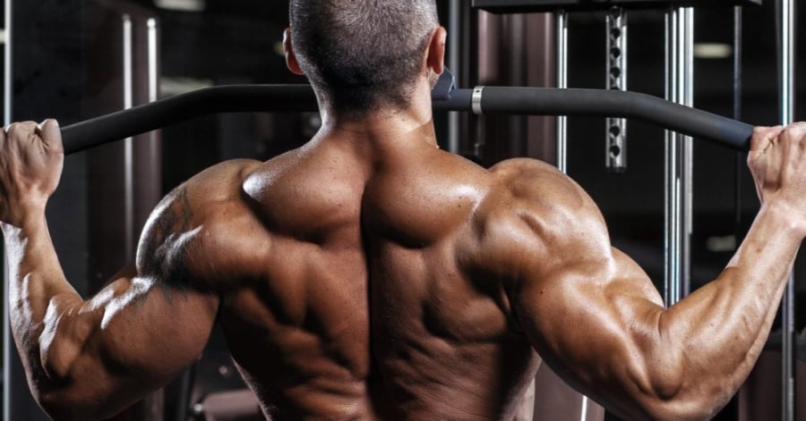 Basic Hypertrophy Training the Proper Way: An Overview | AnlianFitness