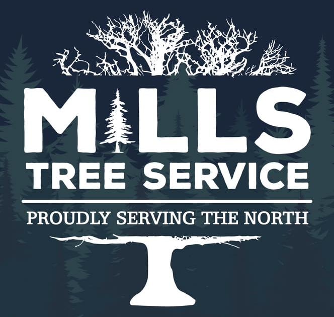 Tree Removal Services in North Bay | Mills Tree Service