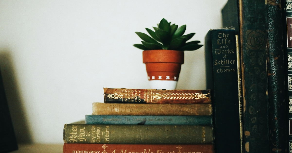 How Reading Fiction Enhances Your Empathy: What Studies Show | Havenread