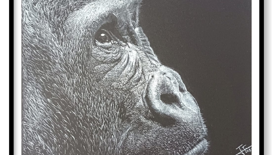 Boutique | Portraits animaliers aux crayons | Jenny Tintinger Artiste ...