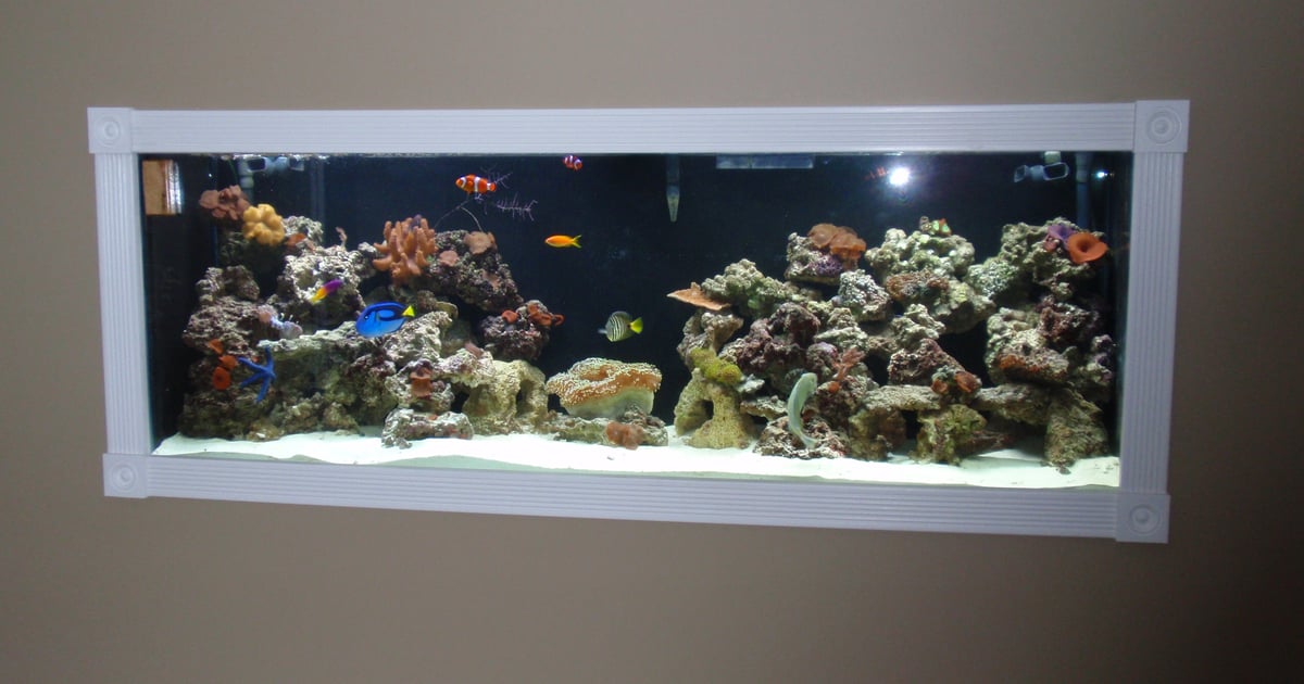 In Wall Fish Tank Build | ManCave Garage Workshop