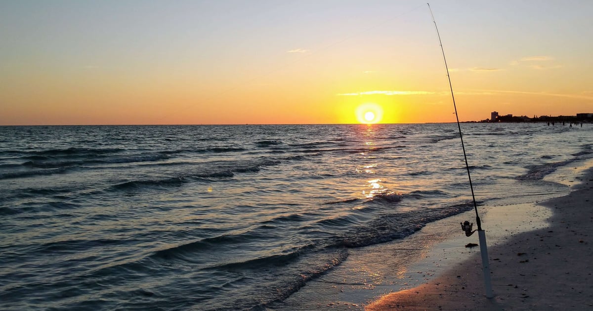 Siesta Key Fishing: Exploring a Coastal Paradise for Anglers | Siesta Beach