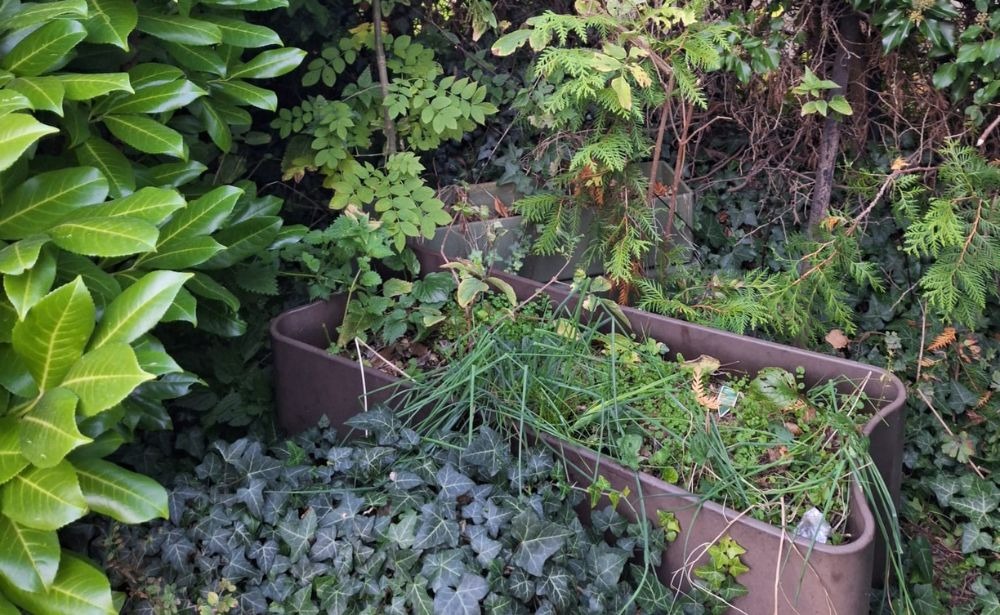 How to Clear and Dig Up a Garden Full of Weeds